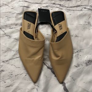 Zara | Shoes | Nwt Zara Low Heeled Pointed Toe Leather Mules | Poshmark